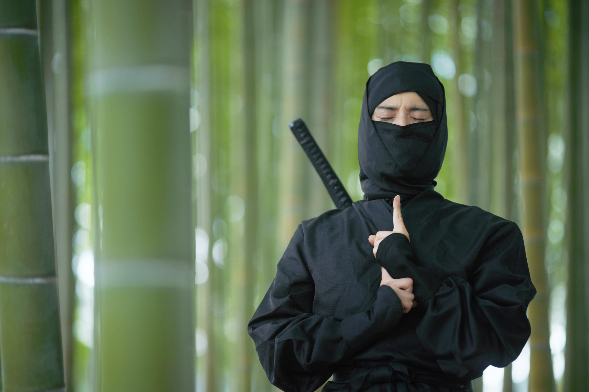 The Real Secrets of Ninjas: Explore Their History and Modern-Day ...