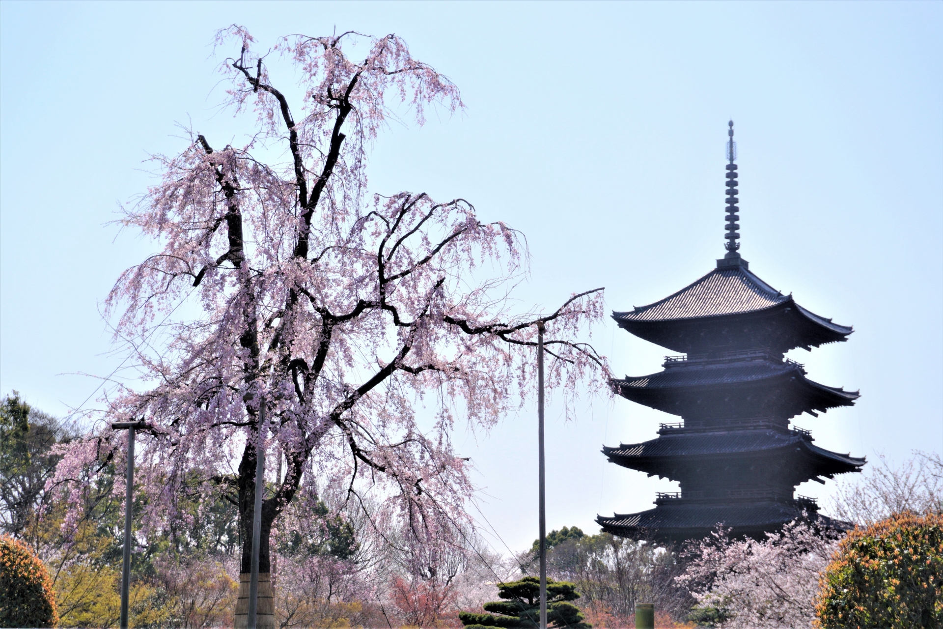 The Ultimate Guide to Visiting Japanese Temples: History & Etiquette ...