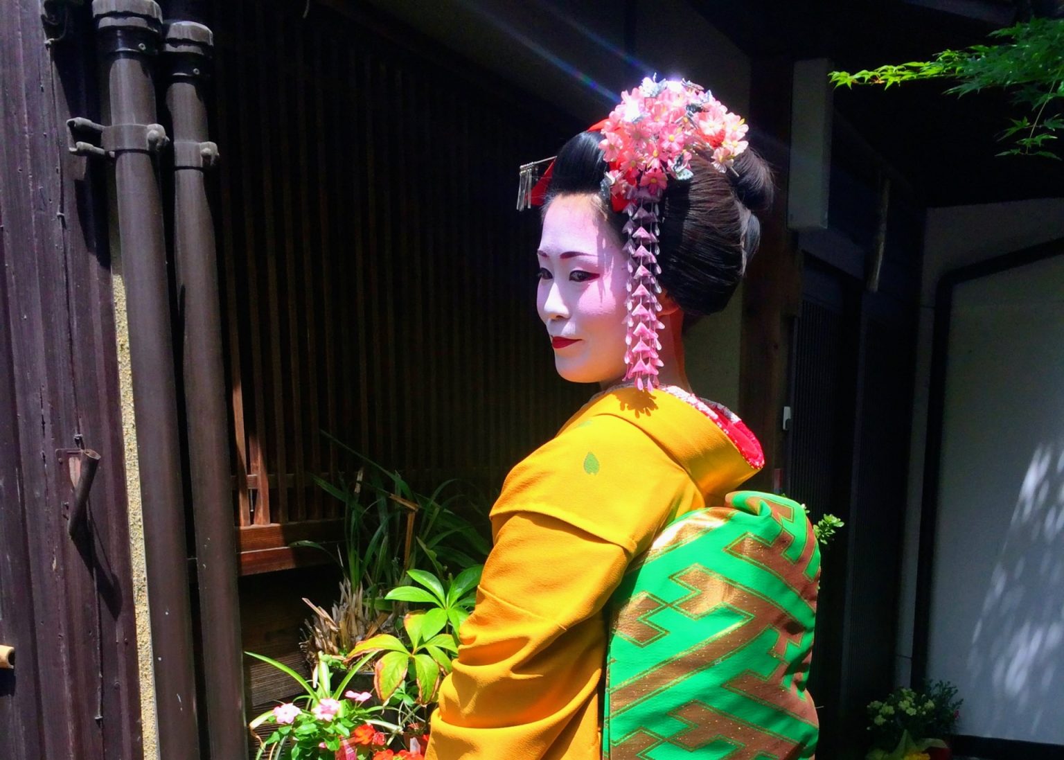 All About Maiko: Traditional Costumes, Hairstyles, and Differences from ...