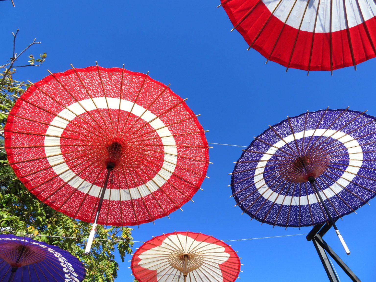 The Charm of Japanese Umbrellas (Wagasa)—Traditional Craftsmanship in ...
